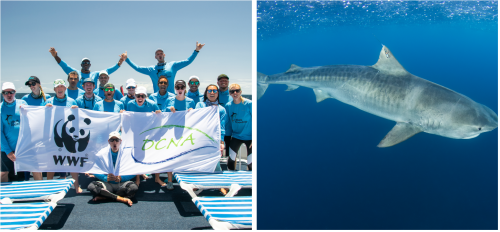 St. Martin News Network - UNRAVELING THE MYSTERIES OF THE SABA BANK ...